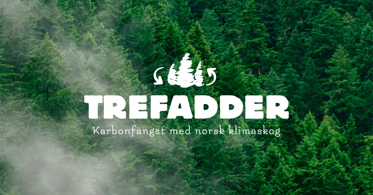 Sådan bliver du klimaneutral virksomhed - Trefadder